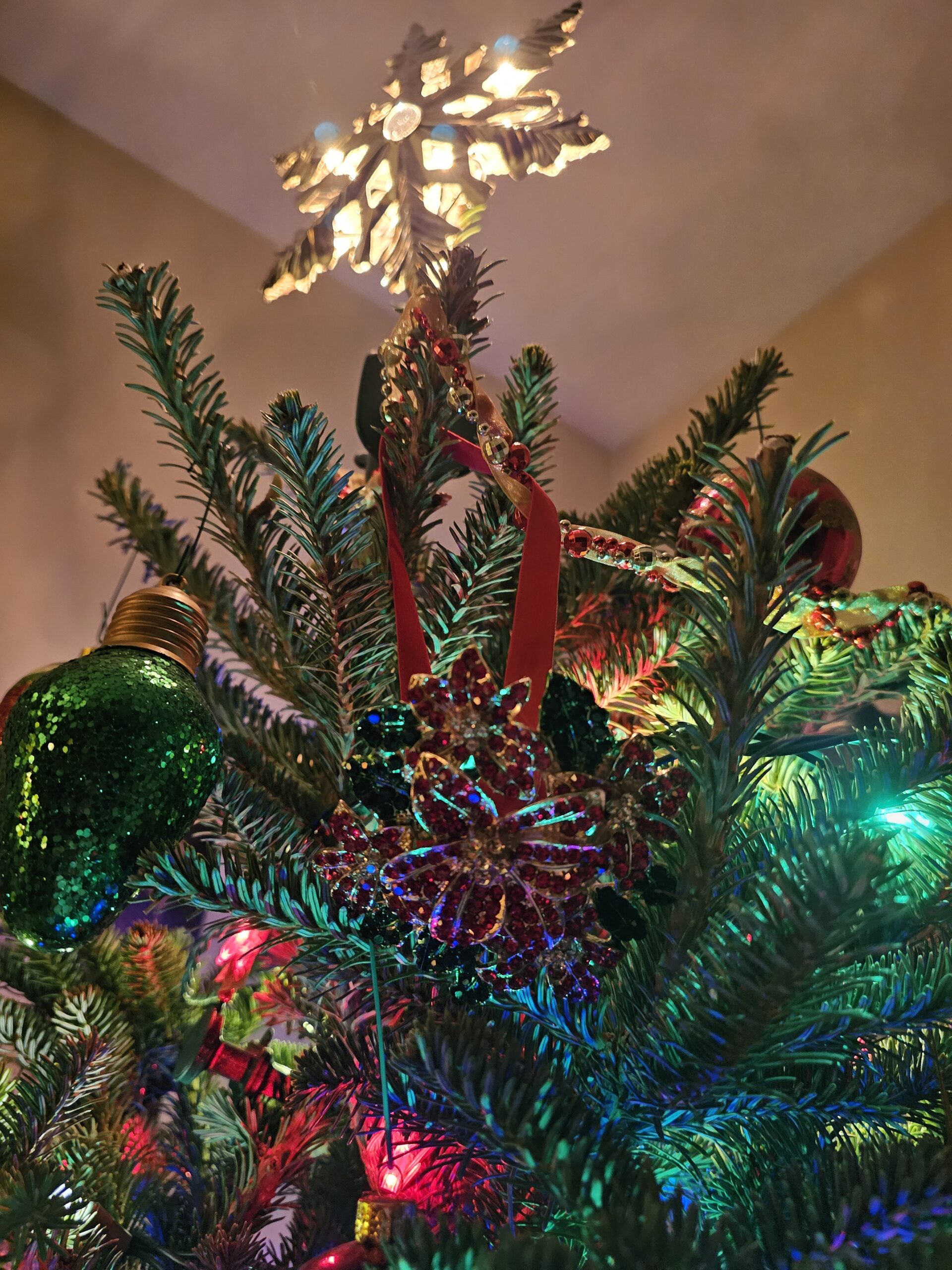 A tale of two trees - Rhonda Schrock