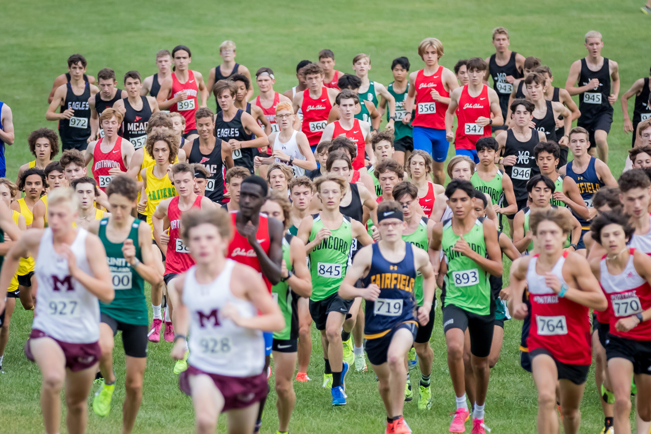 We all fall down - Rhonda Schrock